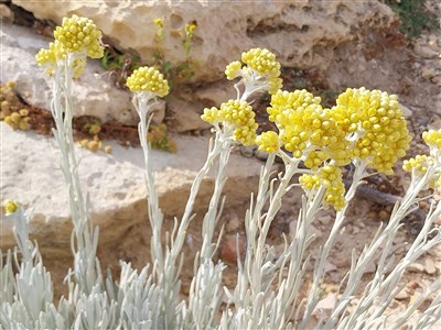 Malta a Gozo | CK Kudrna